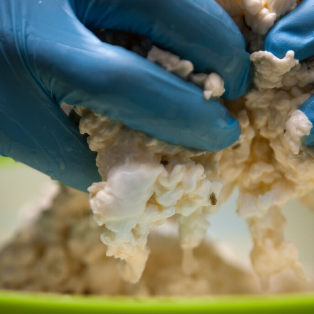 Make your own cheese - Vaca Negra